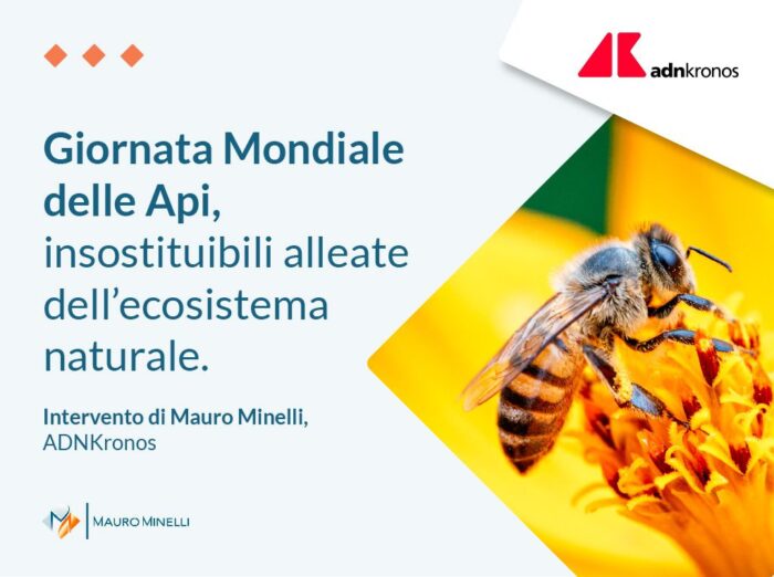 Giornata Mondiale delle Api, alleate vitali dell'ecosistema naturale
